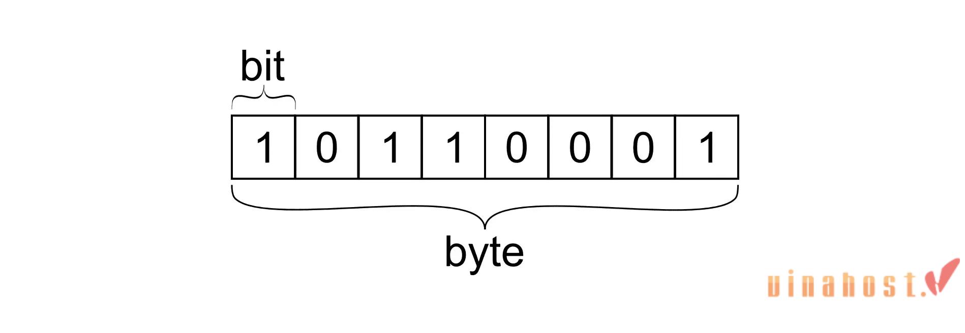 [2025] Bit là gì? | Byte là gì? | 1 Byte bằng bao nhiêu Bit?