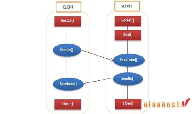 [2026] Socket là gì? | Ưu và Nhược điểm từng loại Socket