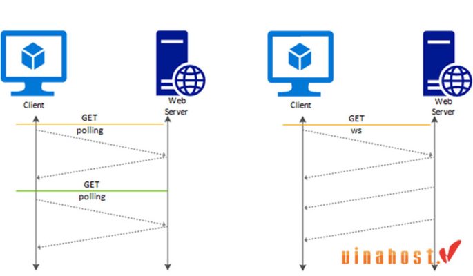 [2026] Socket là gì? | Ưu và Nhược điểm từng loại Socket