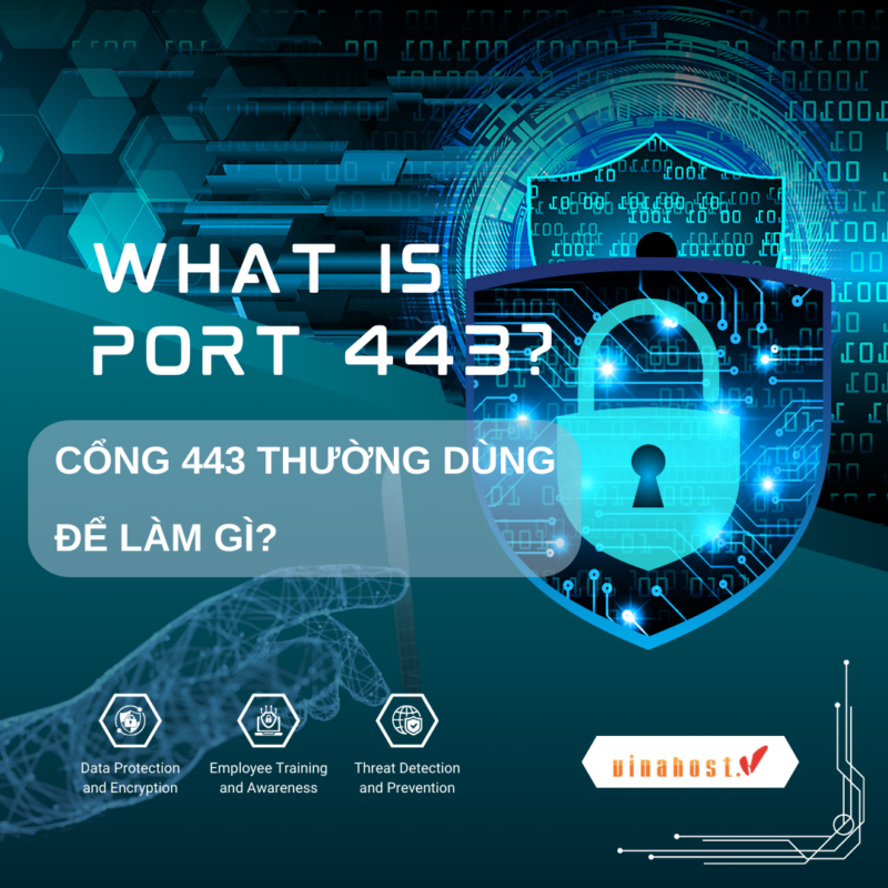 [2026] Port 443 là gì? Cổng 443 thường dùng để làm gì?