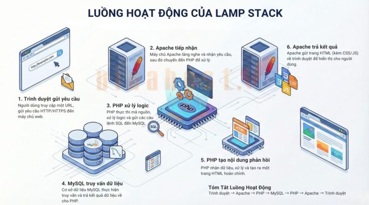 [2026] LAMP Stack là gì? Hướng dẫn Cài đặt & Tối ưu hóa